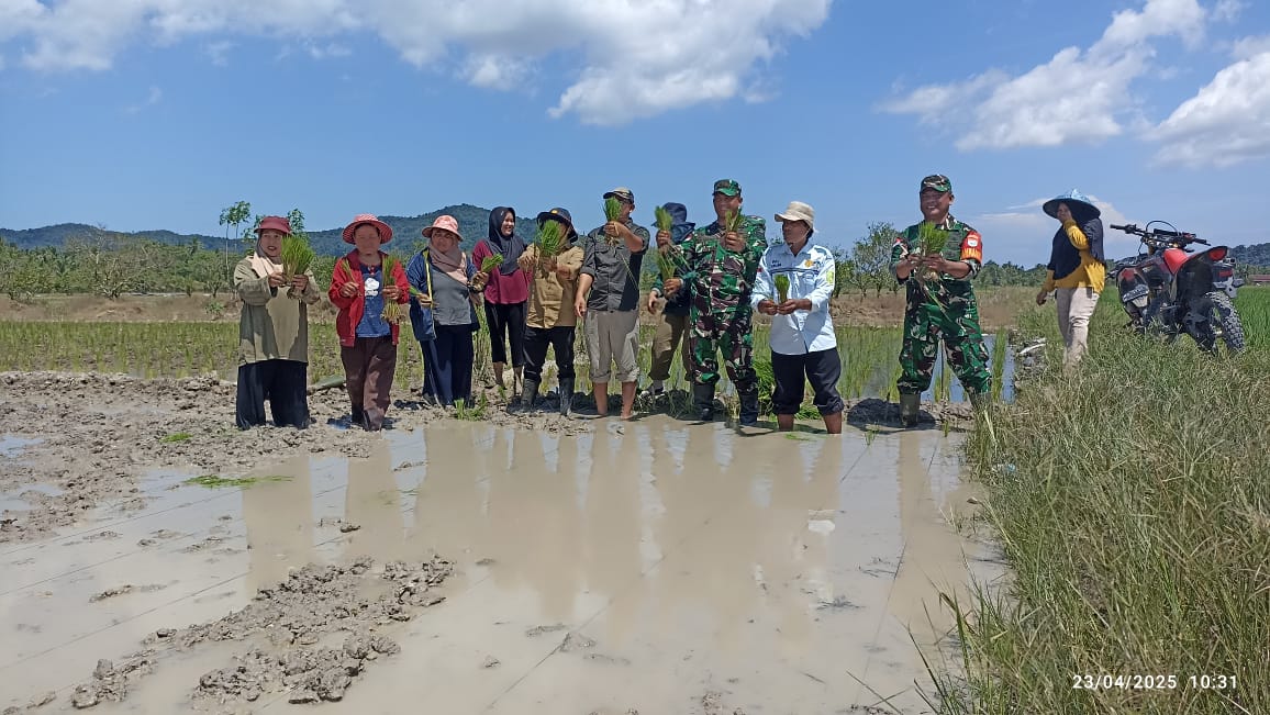 Dukung Hanpangan Nasional Dandim 1208/Sambas Hadiri Tanam Padi Serentak 14 Provinsi – UngkapFakta.id